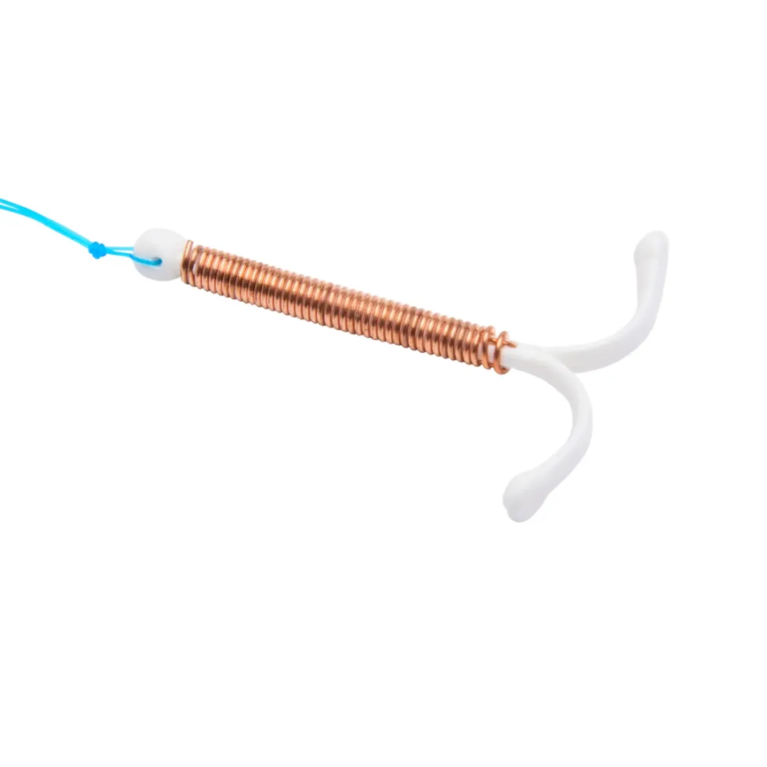 Wkładka Eurogine Gold T Mini - ALBISPRO.com